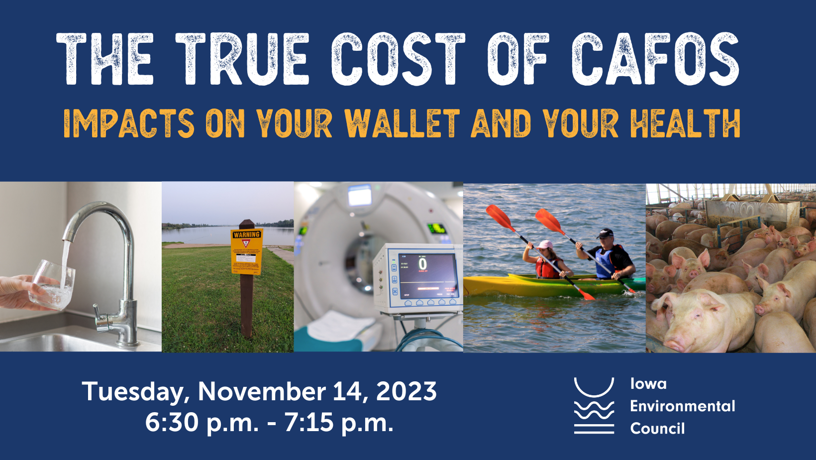 The True Cost of CAFOs: Impacts on Your Wallet and Your Health